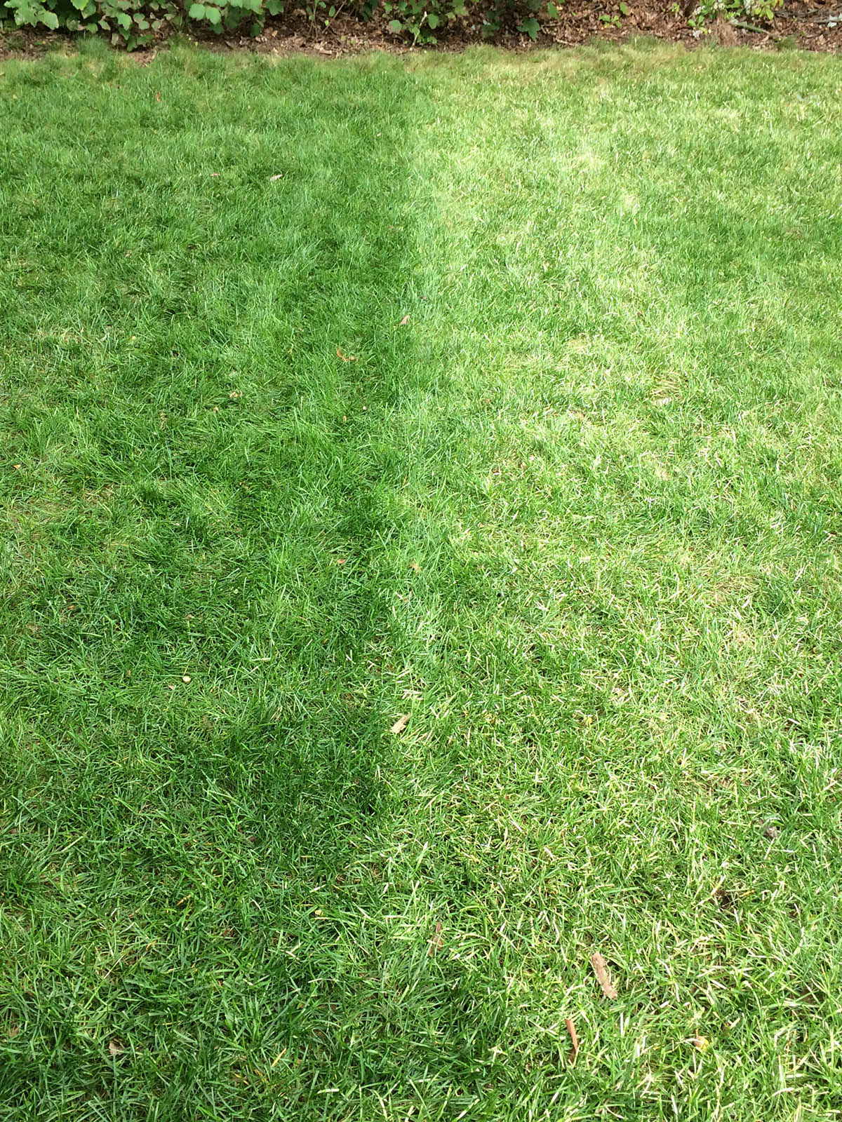 Ken-n-Nancy's Lawn Journal 2018-19 - "War on Triv" | Page 3 | Lawn Care ...