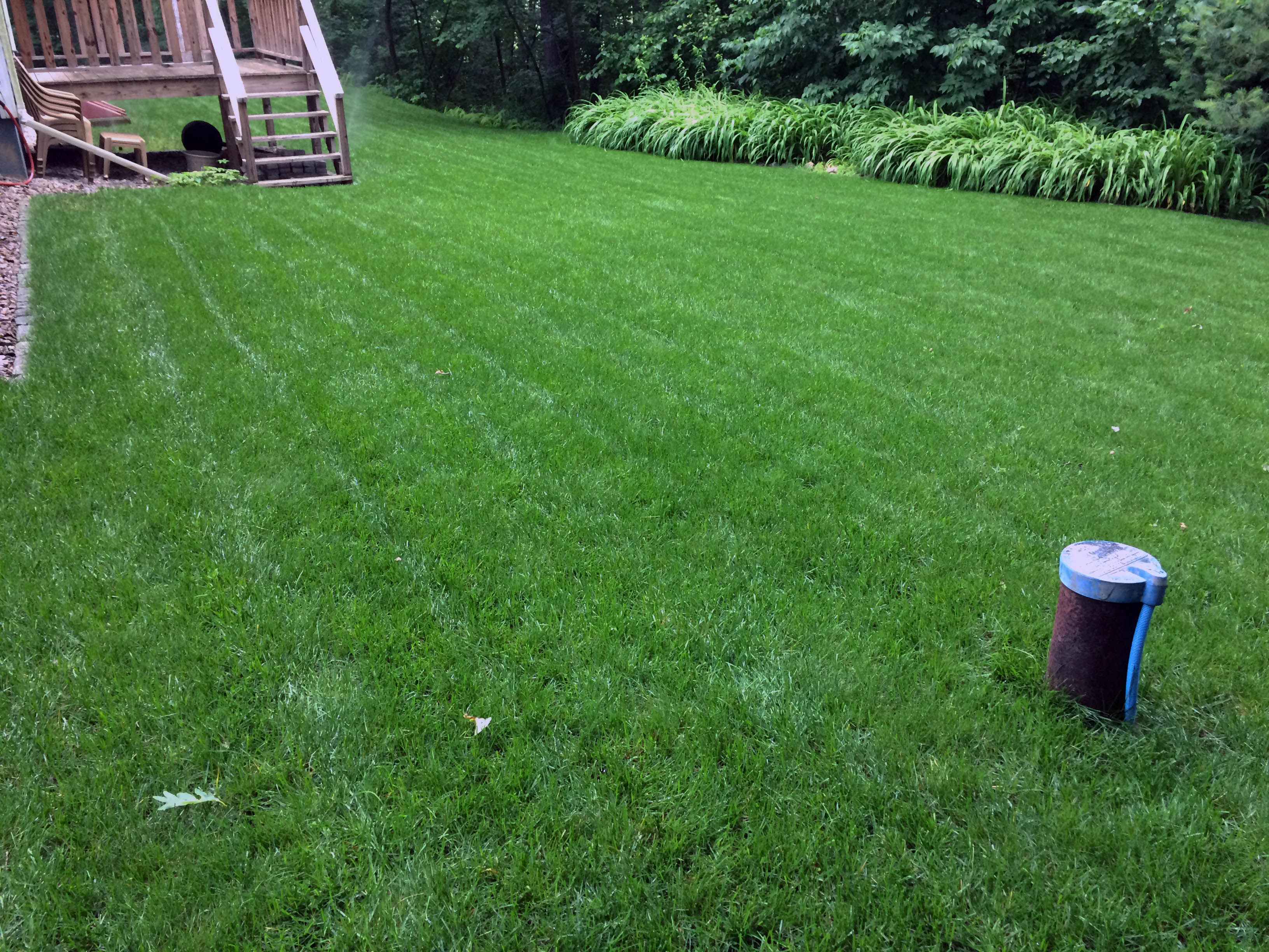 Watering Using A Well | Lawn Care Forum