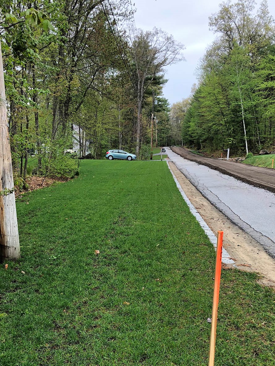 Ken-n-Nancy's 2020 "Driveway Side" Lawn Renovation - aroundtheyard.com ...