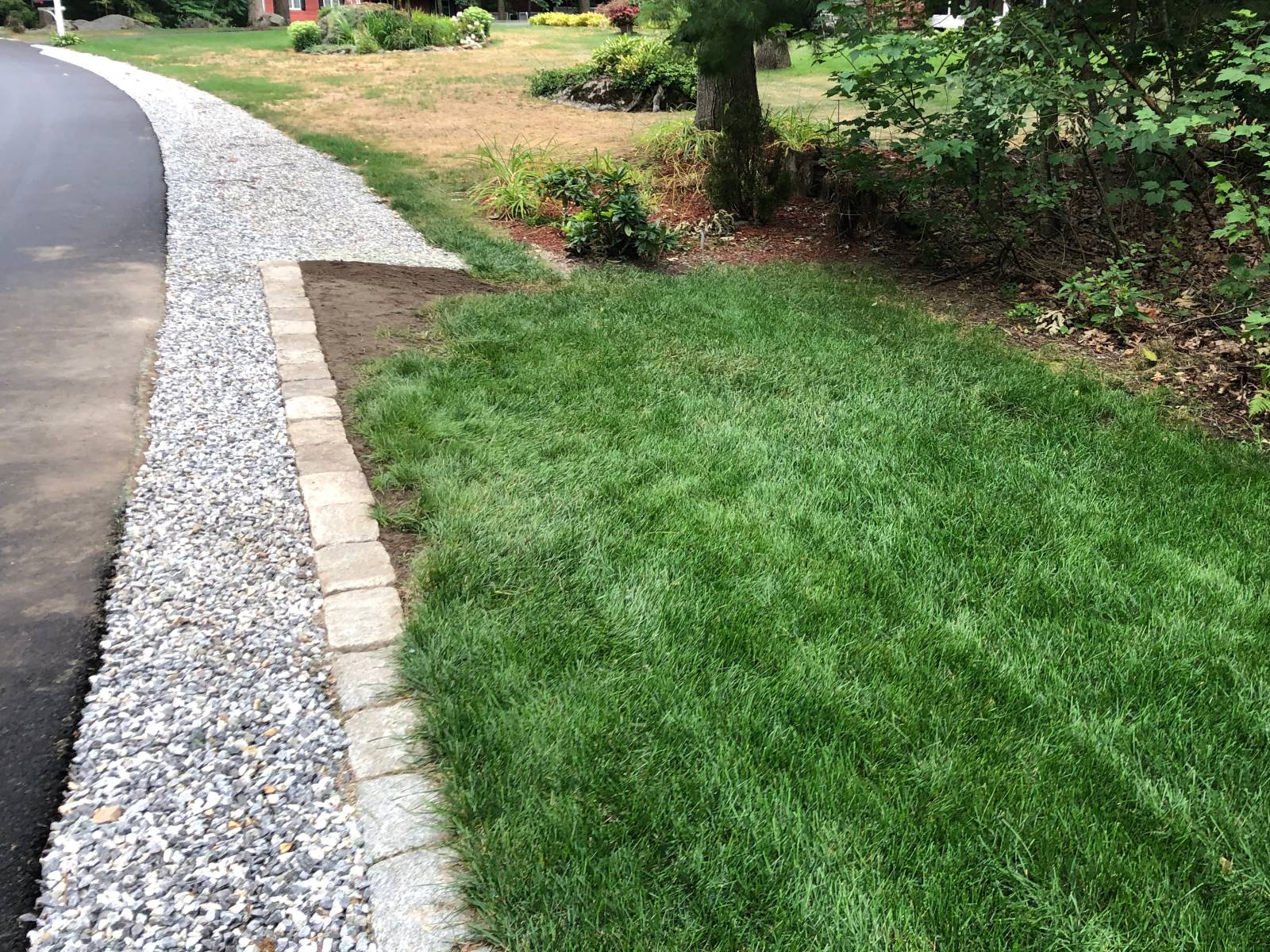 Ken-n-Nancy's 2020 "Driveway Side" Lawn Renovation - aroundtheyard.com ...
