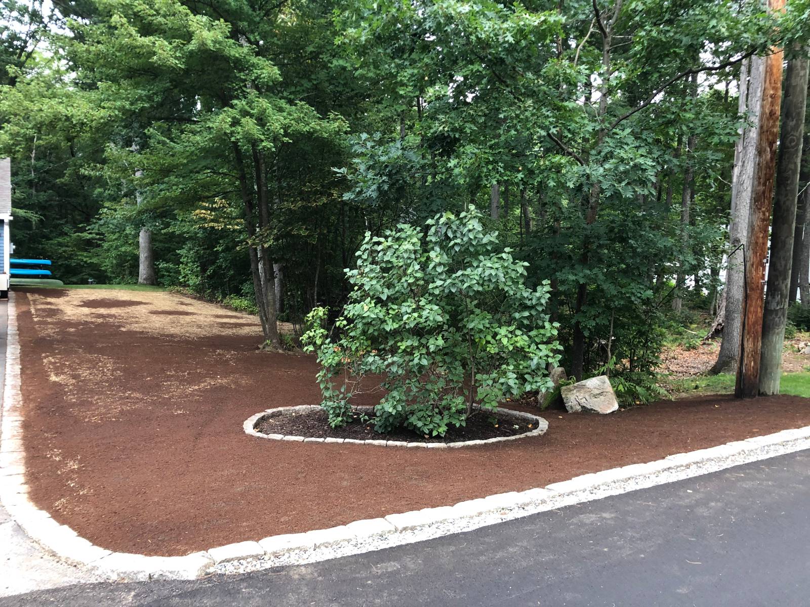 Ken-n-Nancy's 2020 "Driveway Side" Lawn Renovation - aroundtheyard.com ...